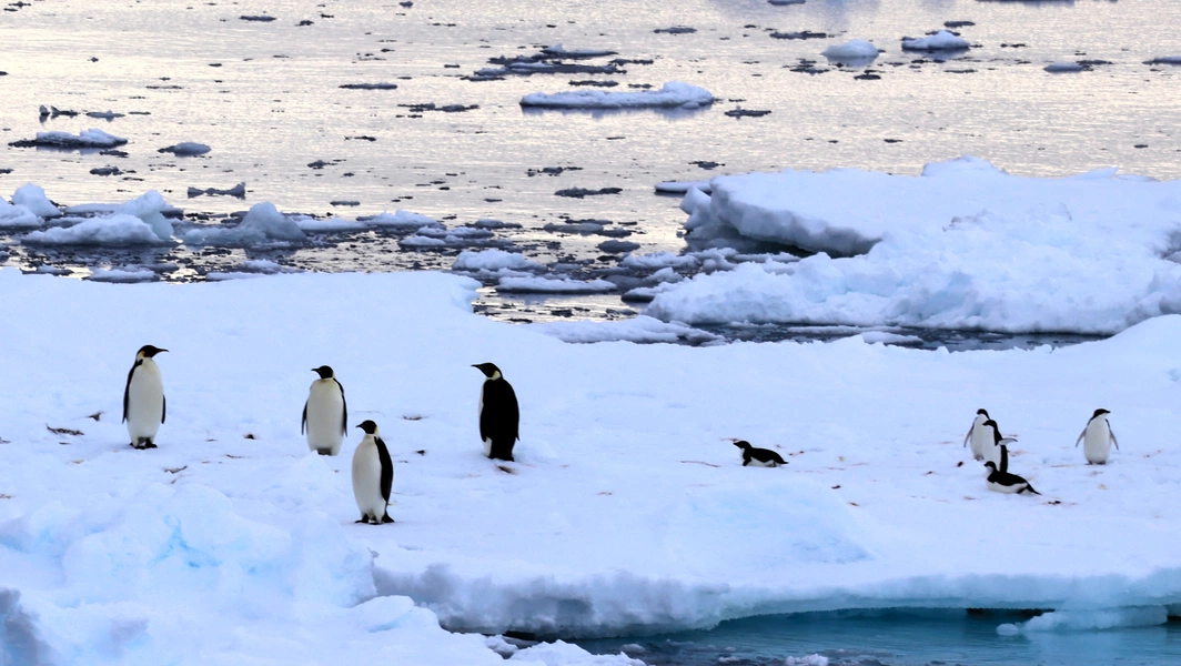 10 extraordinary survivors of extreme environments