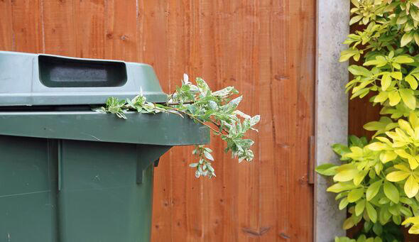 Garden waste you can no longer recycle under England's new recycling rules