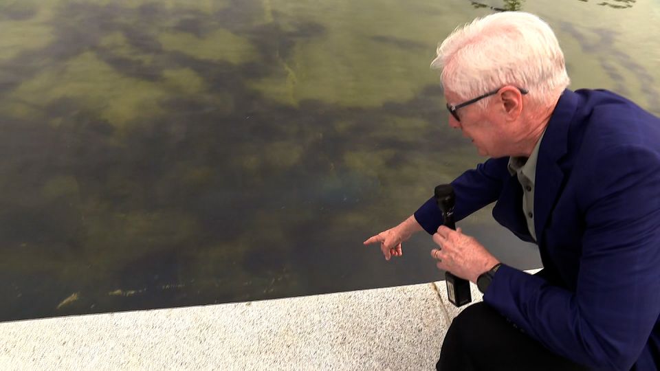 Reflecting Pool peeling: new drama swirls in the shallow waters after ...