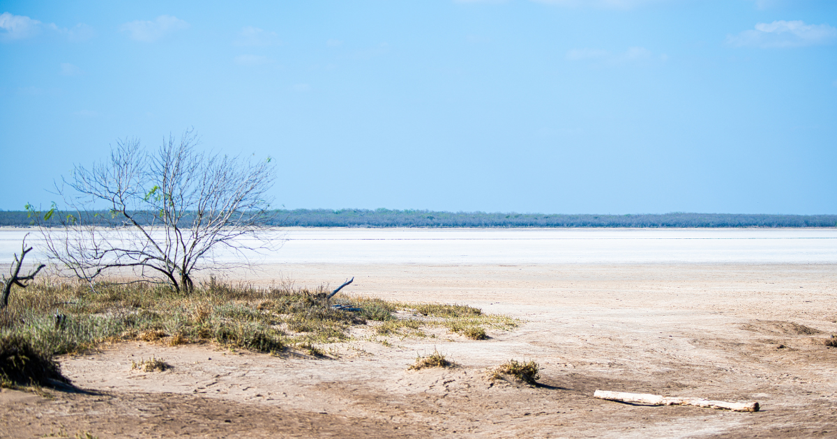 You can almost walk on water at this Texas salt lake
