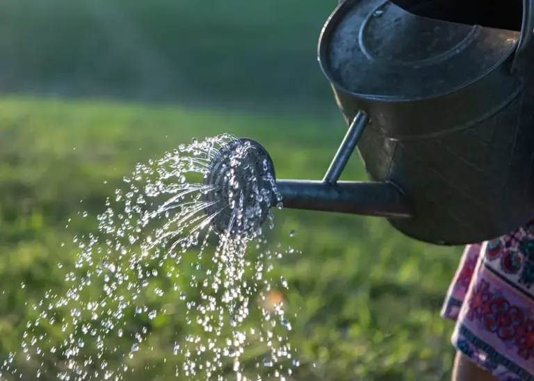 How to build an inexpensive sub-irrigated planter box for thirsty ...