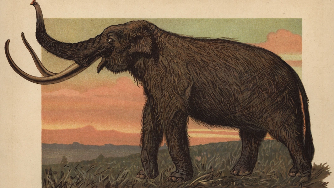 16 remarkable animals lost to extinction