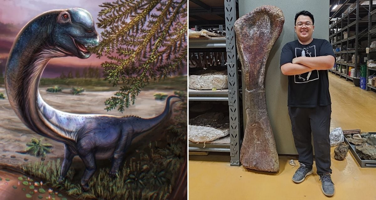 Paleontologists in Thailand just revealed the Nagatitan, an 88-foot ...