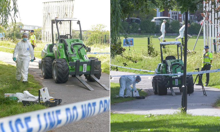 Girl, 18, dies after being hit by 'stolen digger driven by teenagers ...