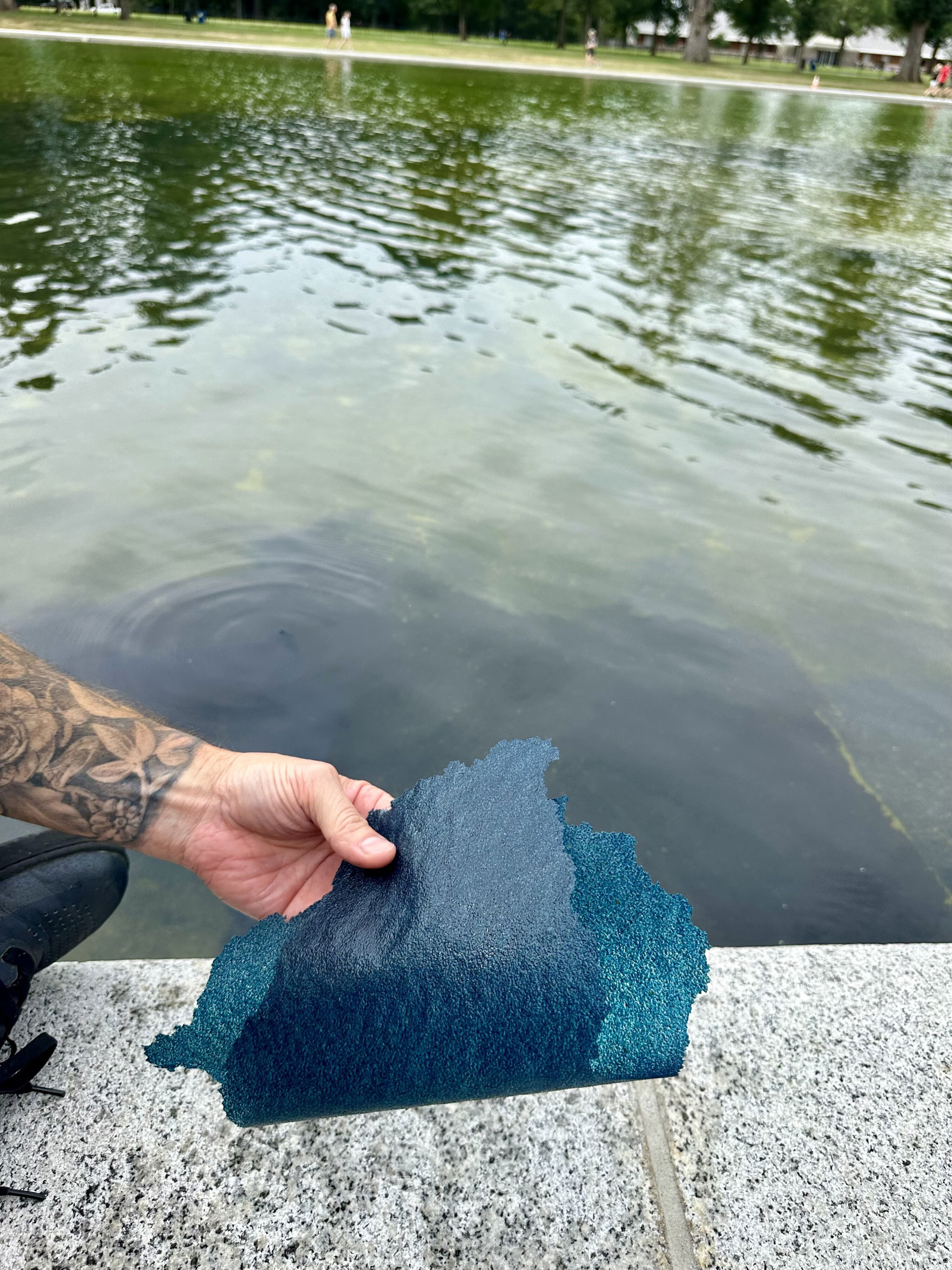 Photos: Yes, the blue paint is peeling off the Reflecting Pool
