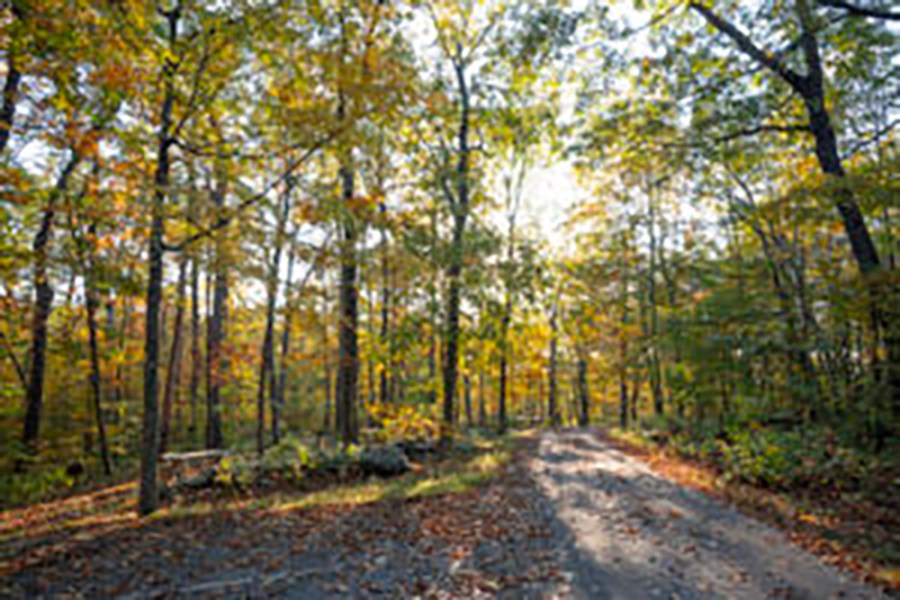 Blue Ridge Parkway closures and reopening dates announced