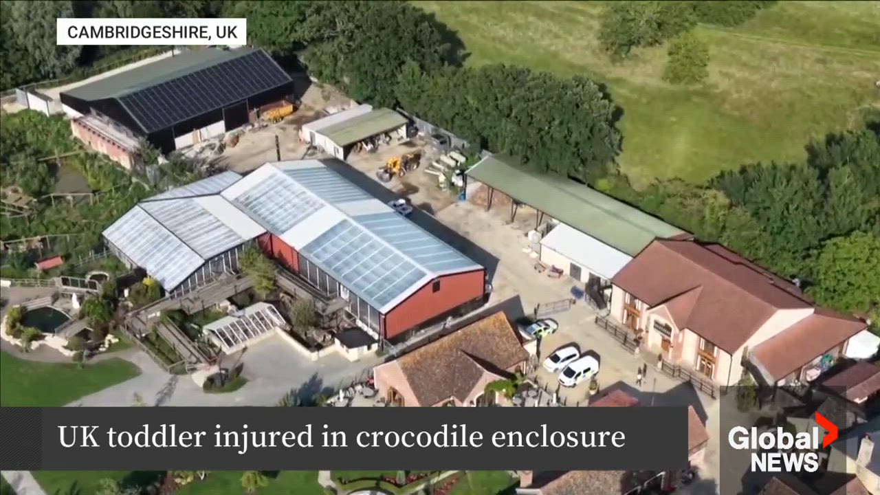 3-year-old critically injured after ending up in zoo crocodile ...