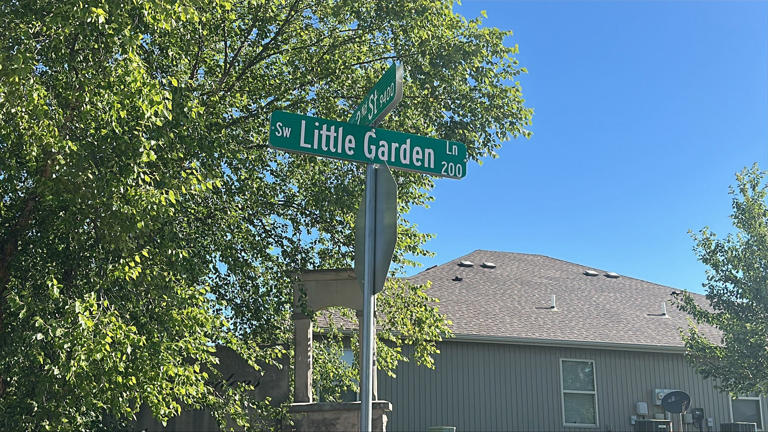 Police: Homeowner shoots, kills suspected burglar in Blue Springs
