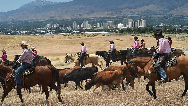 Reno Rodeo kicks off with cattle drive and crowns 2026 Xtreme Bulls ...