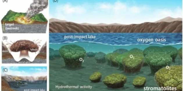 Debajo de este cráter de 42.000 años encontraron vida antigua enterrada