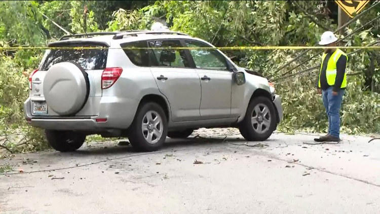 Father of three feels lucky to be alive after tree crashes into his car ...