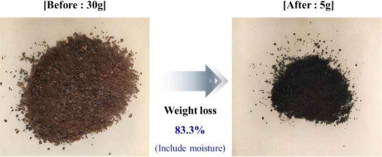 Wet coffee grounds turned into high-grade solid fuel in just 90 seconds