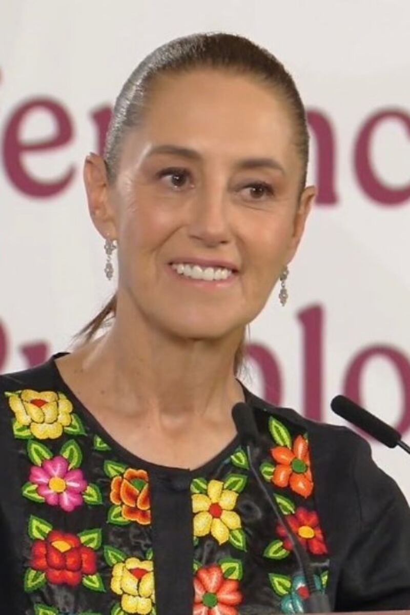 Sheinbaum invita a Palacio Nacional a “El Pato Merlin”, el ave viral ...