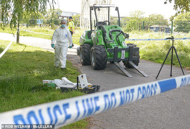 Girl, 18, dies after being hit by 'stolen digger driven by teenagers ...