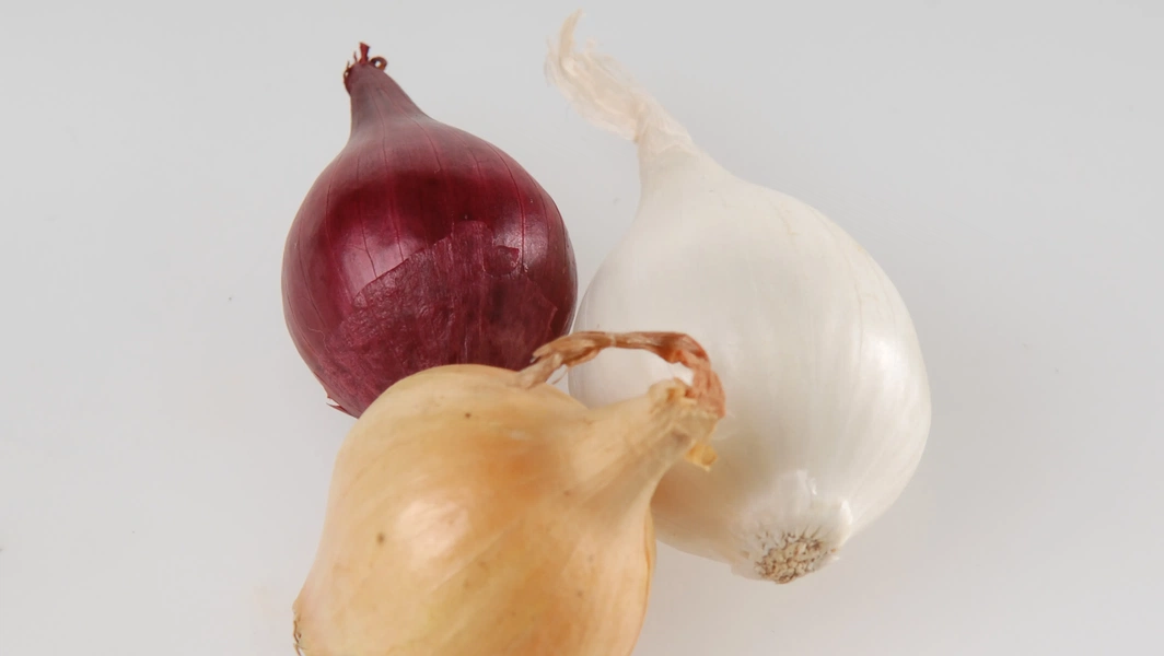 9 foods that are dangerous for dogs