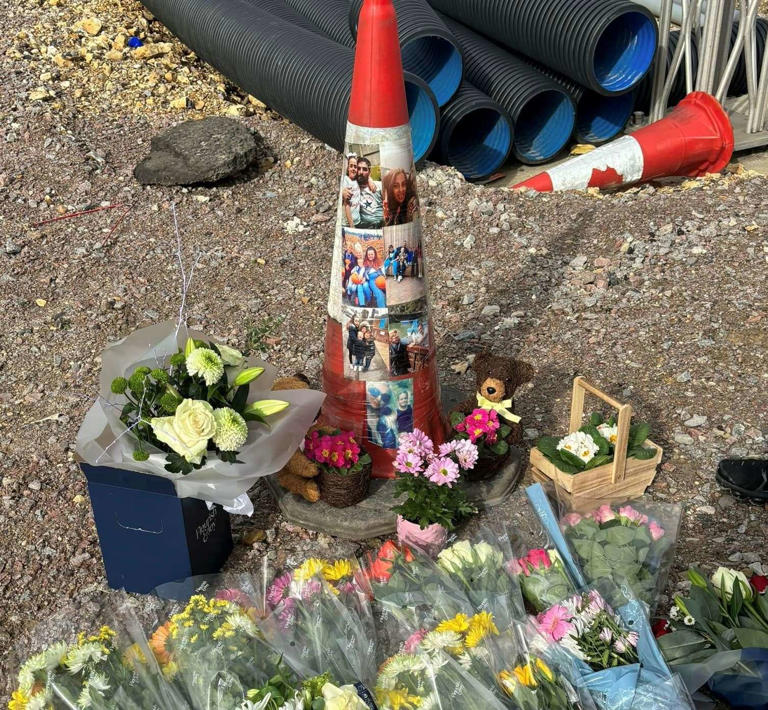 Man, 19, appears in court for first time following death of Alisha ...