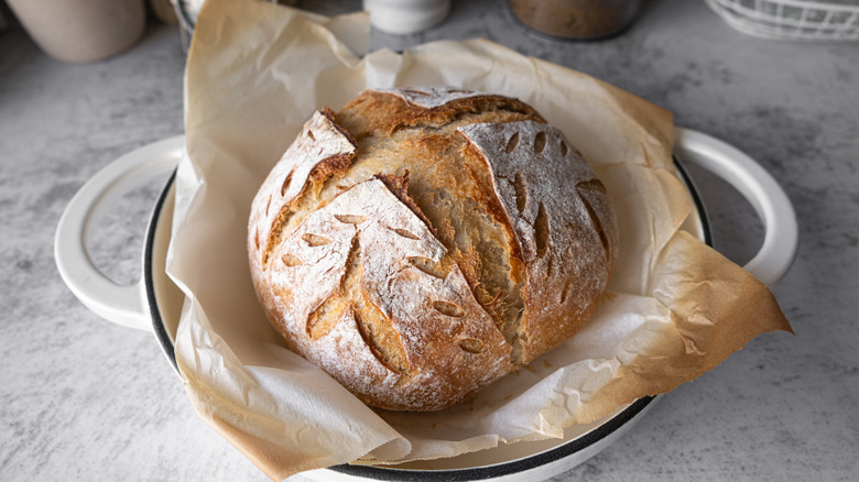 What a sourdough expert thinks of Costco's starter kit