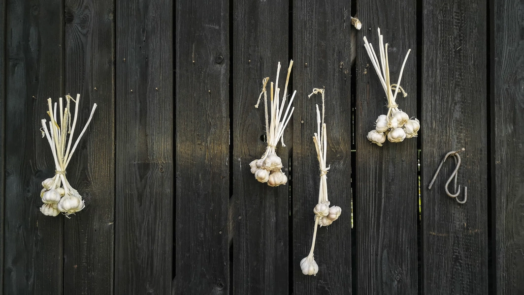 10 plants believed to ward off evil