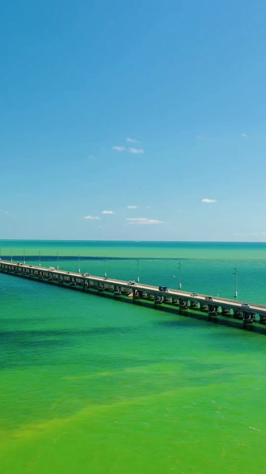 6 unforgettable Florida Keys adventures kids will beg to do