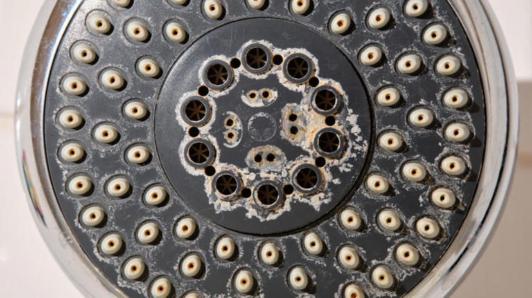 The showerhead cleaning trick that changes everything