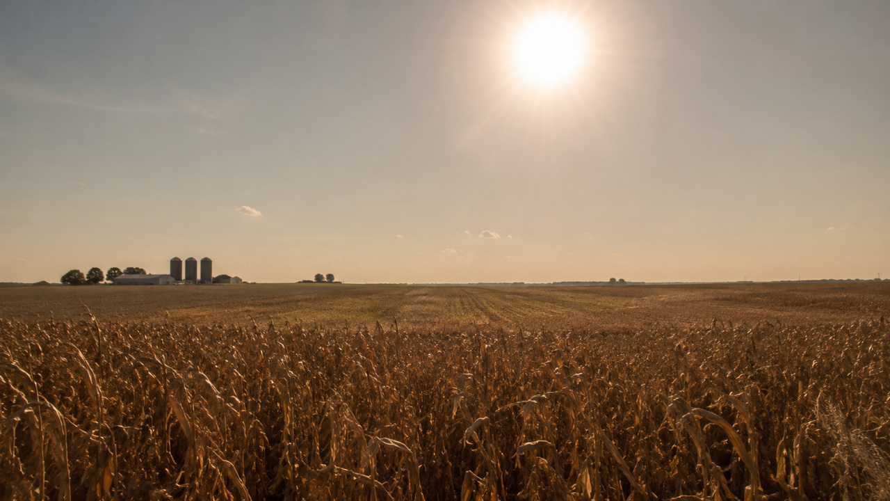 NOAA warning: Above-normal heat nears every US state