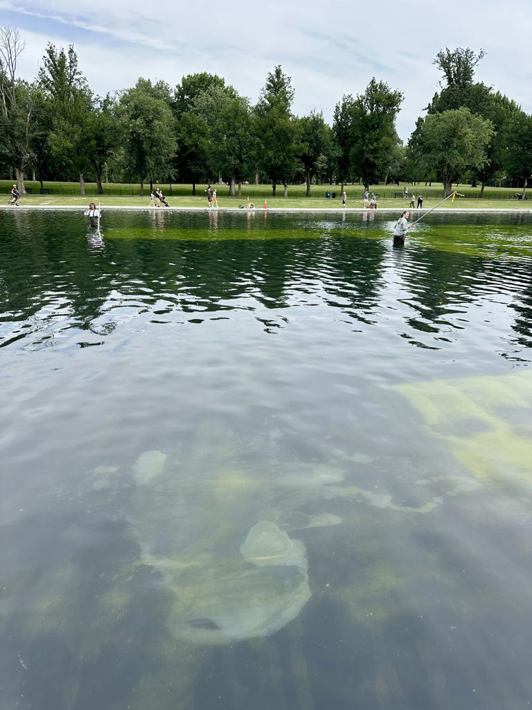Photos: Yes, the blue paint is peeling off the Reflecting Pool