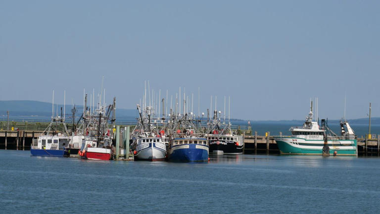 4 rescued after fishing vessel catches fire near Digby