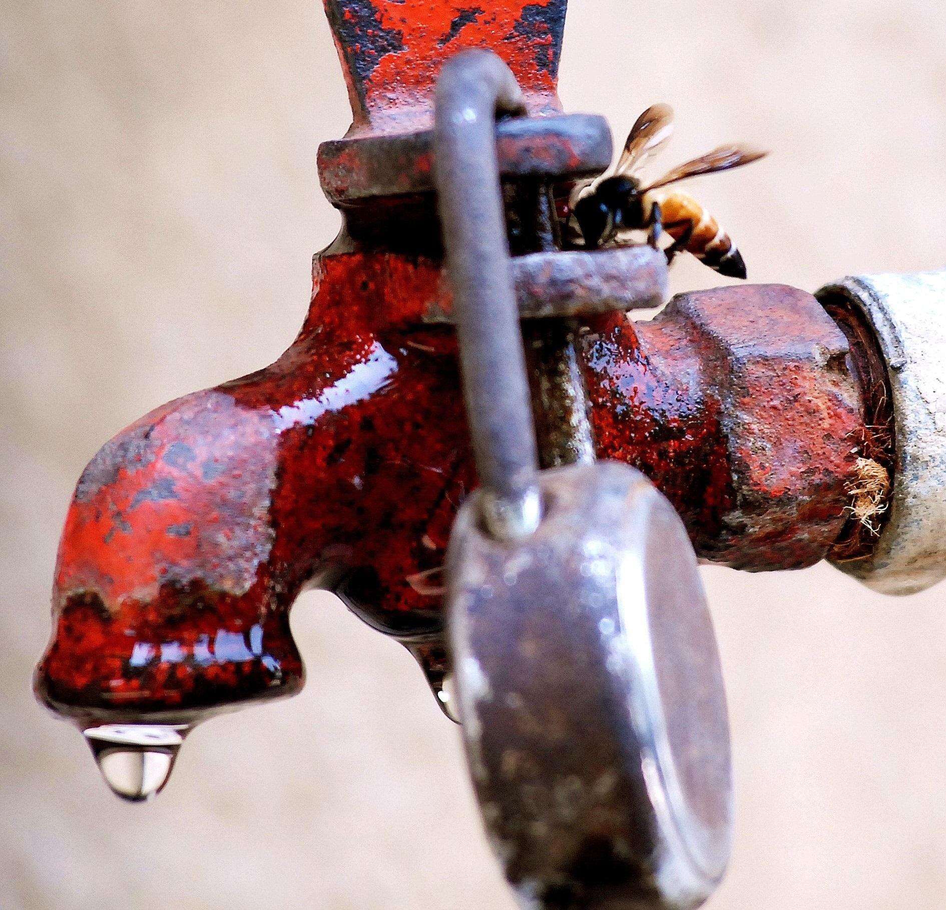 Fight at SoBo building as 14-year-old boy denied water