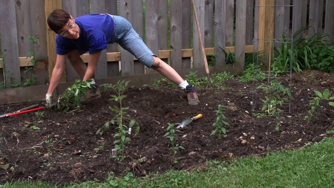 19 common gardening hazards and how to avoid them