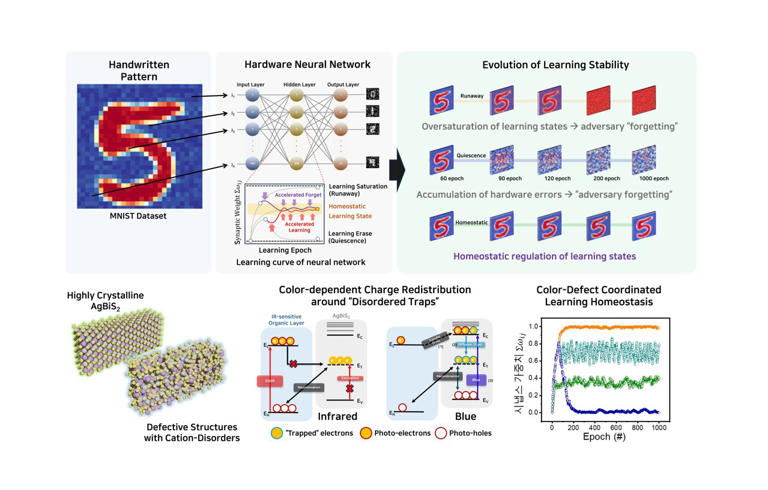Artificial synapse uses light-color programming for brain-like balanced ...