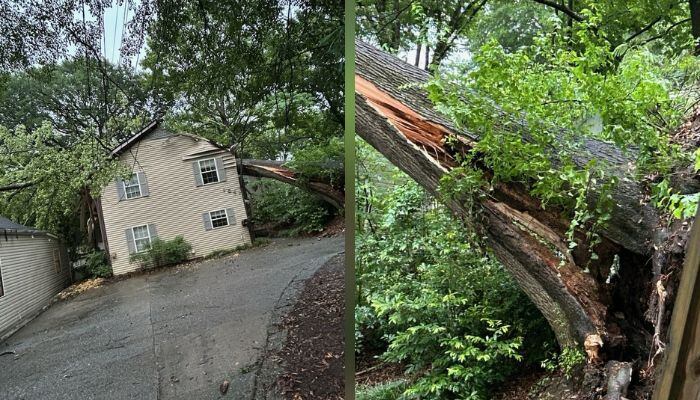 Severe weather downs trees, leads to flooding throughout metro Atlanta