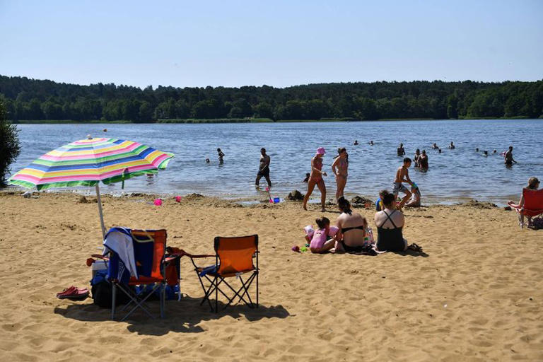 'Do not swim' warning at Frensham pond as blue-green algae found in water