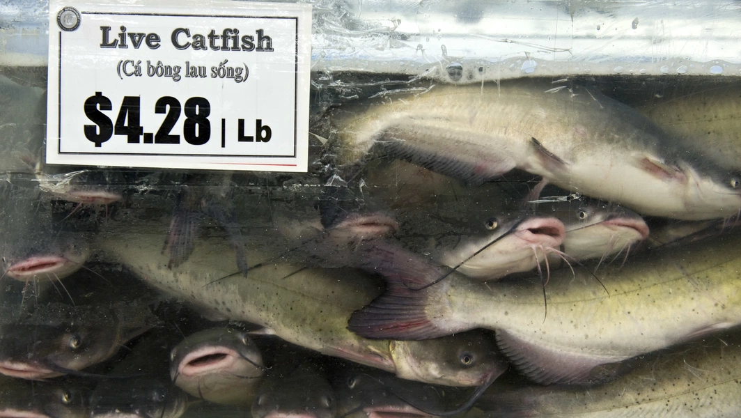 Mastering flavorful catfish cooking