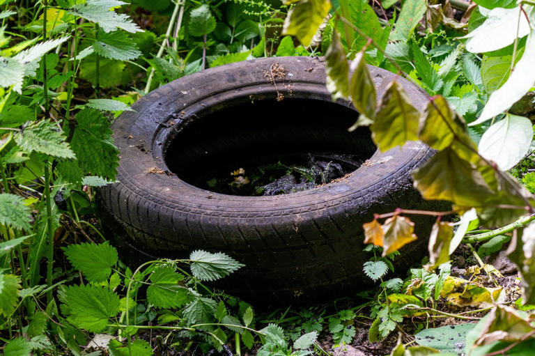 Barrister who cleaned river faces punishment from Environment Agency