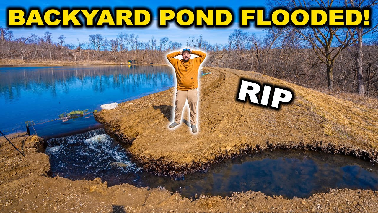 My backyard pond flooded! What now?
