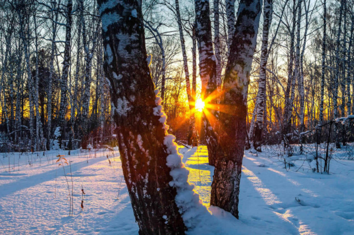 Winter solstice | When is it – and how it affects South Africans