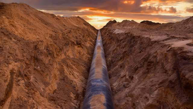 New report maps East African Crude Oil Pipeline through black rhino ...