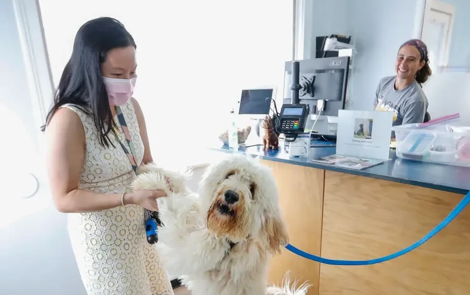 Finding the right dog for your health and home