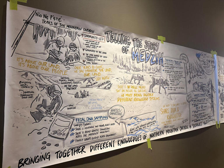 Indigenous knowledge takes centre stage at Yellowknife caribou conference