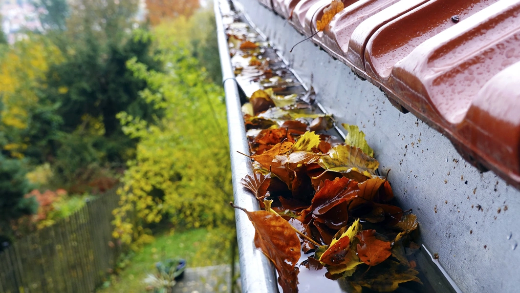 Smart gutter care to save your home