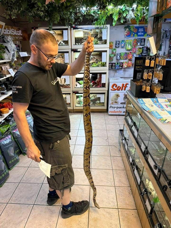 Girl finds massive 6-foot snake while playing golf