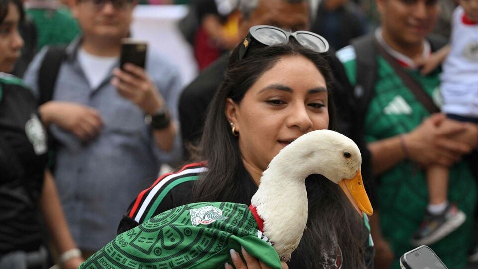 Merlin the duck goes viral among football-crazy fans in Mexico amid ...