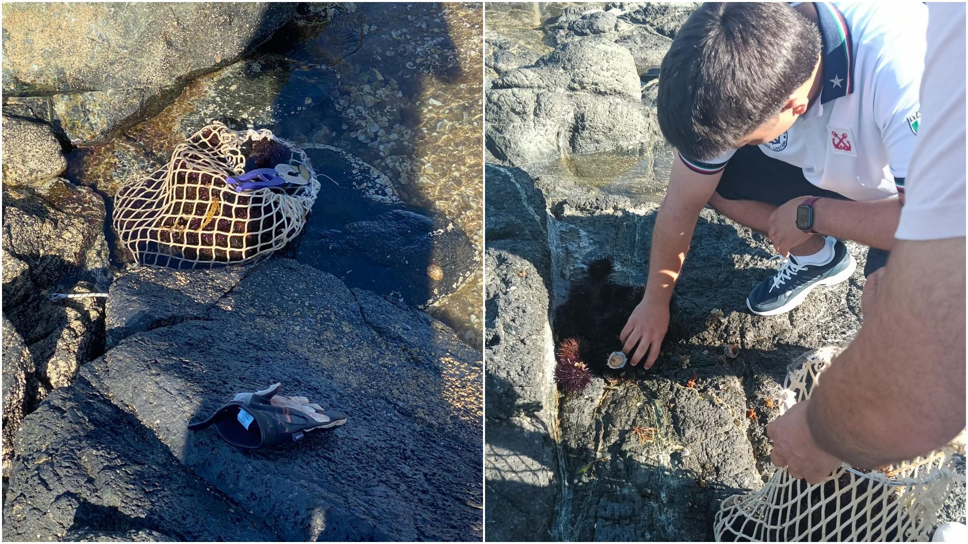 Sorpreso a pescare ricci di mare nel periodo vietato, mille euro di multa