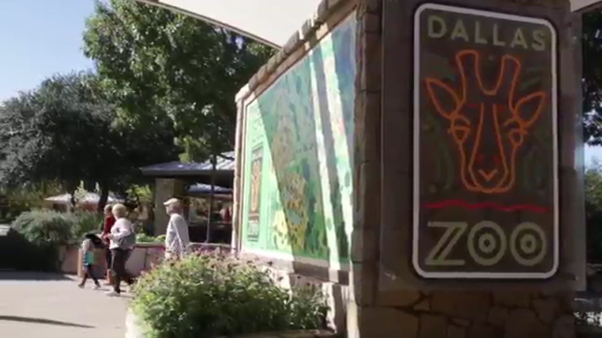 Dallas Zoo releases 'Dollar Day' tickets