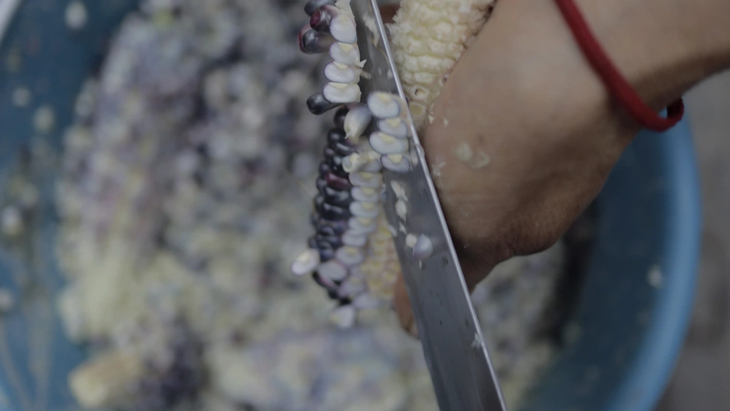 12 native crops first cultivated in Mexico