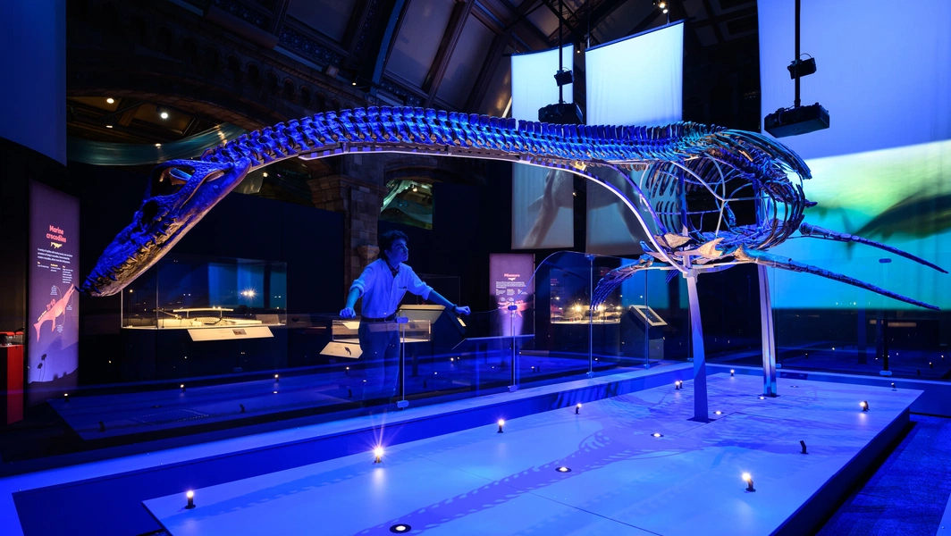 10 extraordinary prehistoric creatures