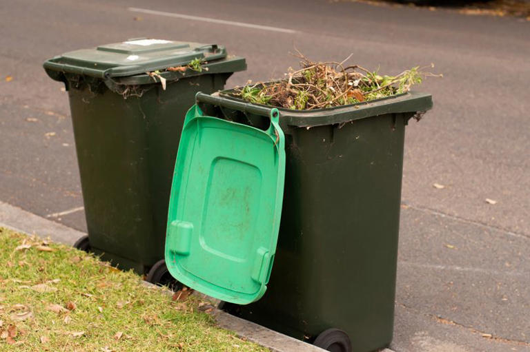 Common garden waste you can no longer recycle under England's new rules