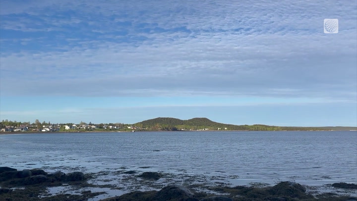 A peaceful morning on a deserted beach in Newfoundland