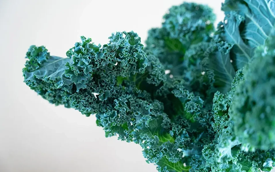 Experts share new low-carb ideas as viral kale hack spreads