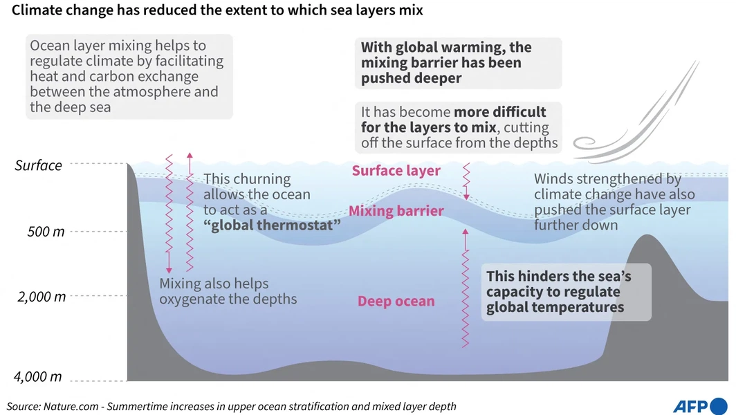 Atlantic Ocean circulation and seafloor dynamics